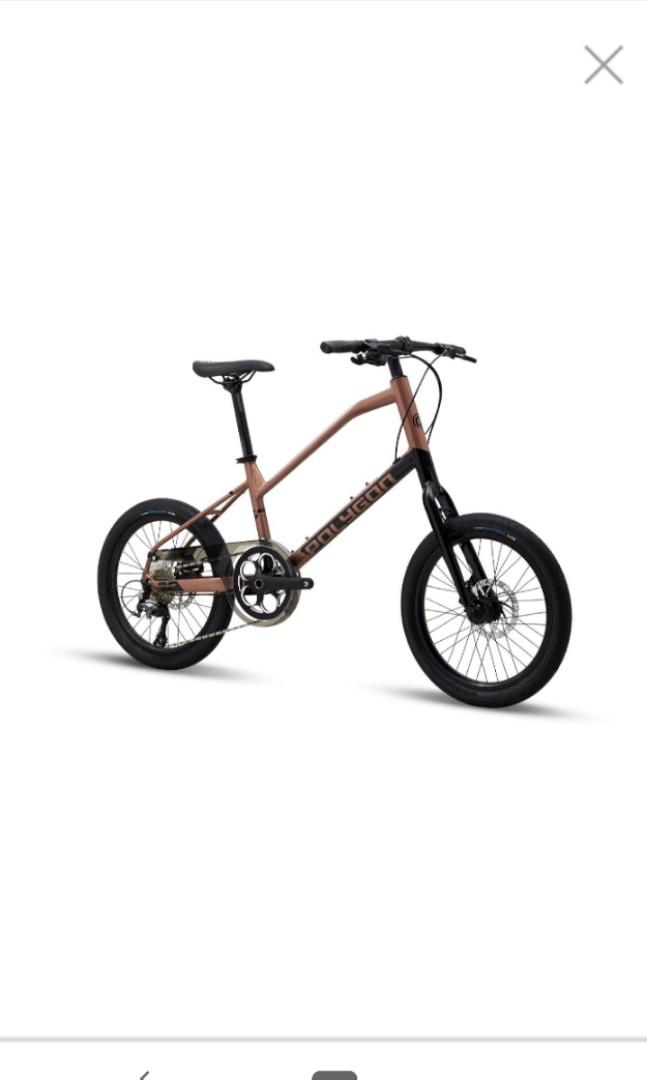 Polygon Zeta 2 Mini Velo, Sports Equipment, Bicycles & Parts, Bicycles ...