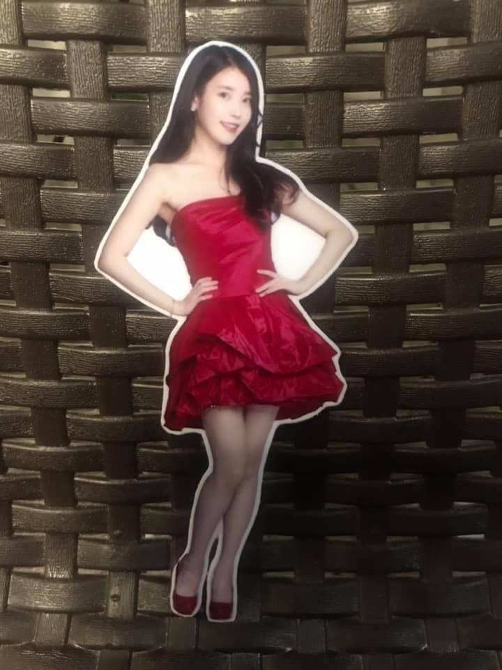 IU Acrylic Standee, Hobbies & Toys, Stationary & Craft, Other ...