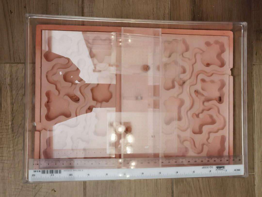 Plaster Battle Formicarium, Ants, Ant Colony, Queen Ant, Pet Supplies ...