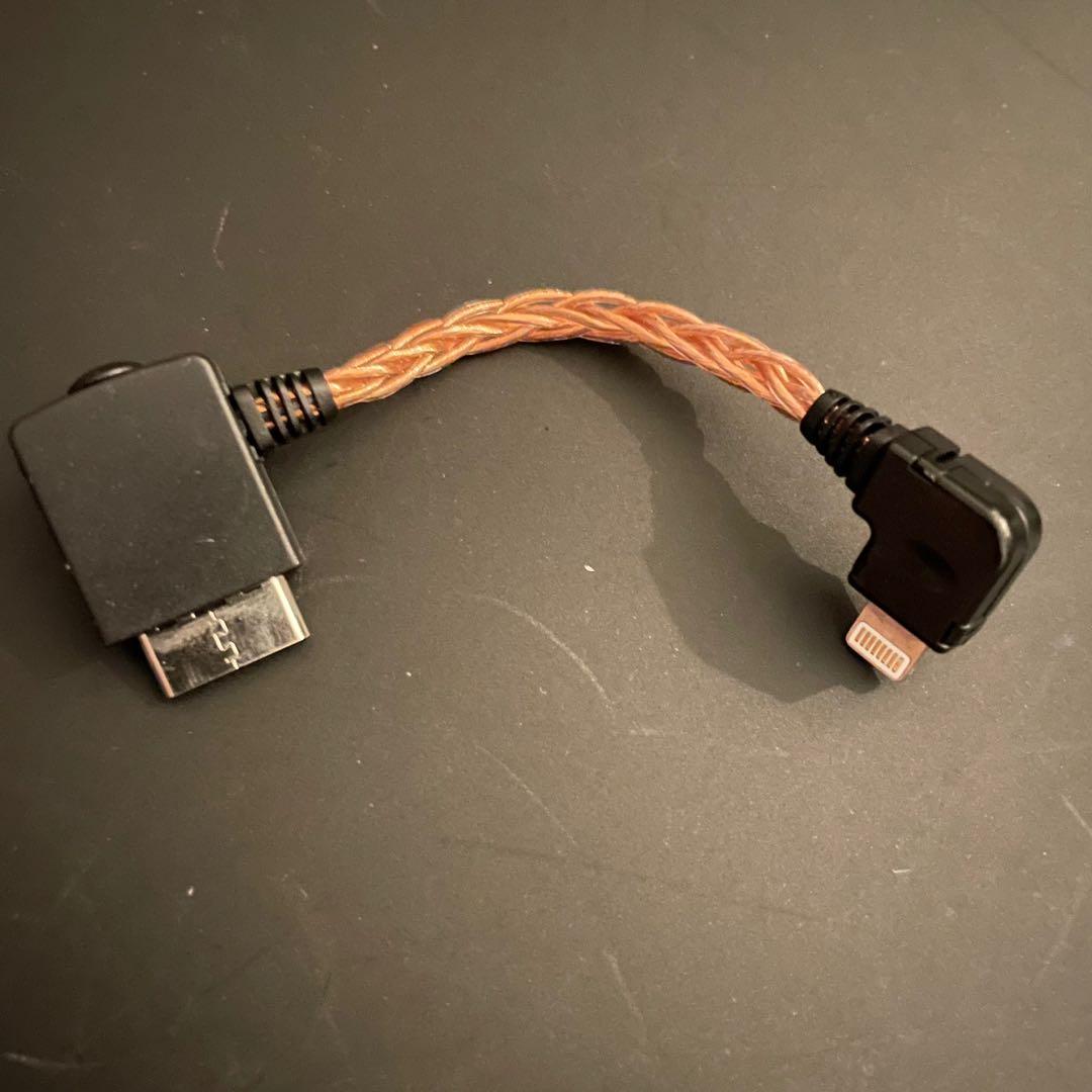 Sony Wmport WM Port to Apple lightning port cable, Computers & Tech ...