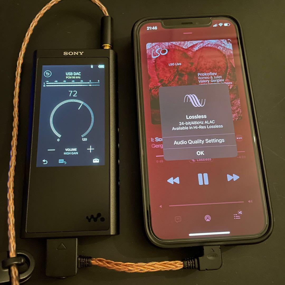 Sony Wmport WM Port to Apple lightning port cable, Computers & Tech ...