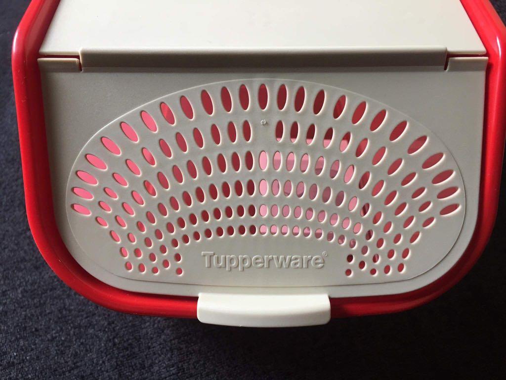 Tupperware veg out Authentic, Furniture & Home Living, Kitchenware ...