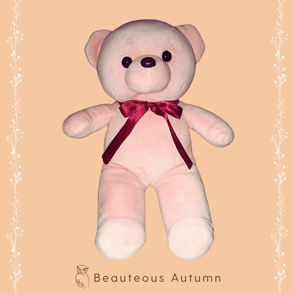 12-inch Teddy Bear, Hobbies & Toys, Toys & Games on Carousell