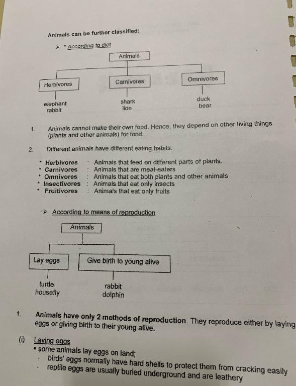 2021 TOP SCHOOL P3 – P6 Science Notes P3 P4 P5 P6 Science Notes Primary ...
