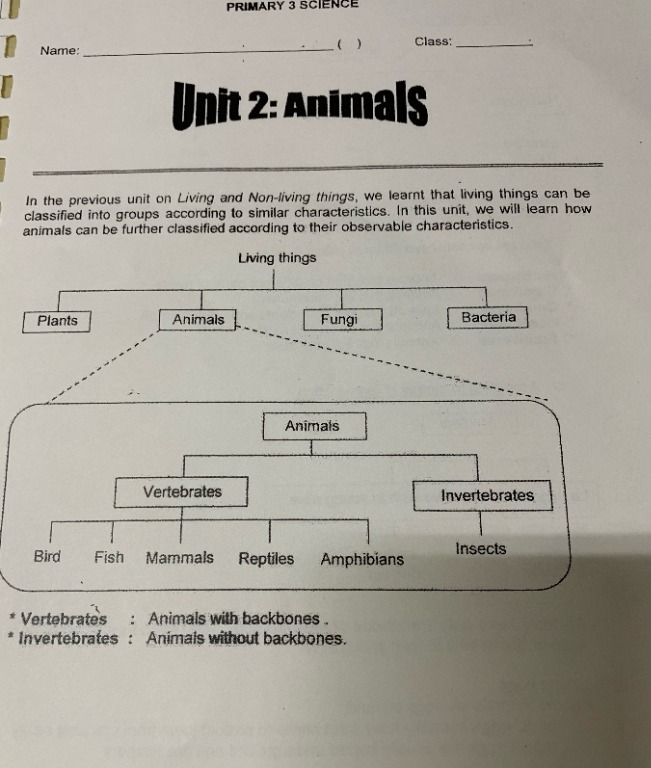 2021 TOP SCHOOL P3 – P6 Science Notes P3 P4 P5 P6 Science Notes Primary ...