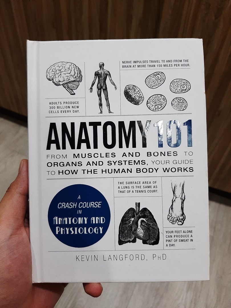 Crash course Anatomy 101, Hobbies & Toys, Books & Magazines, Textbooks ...