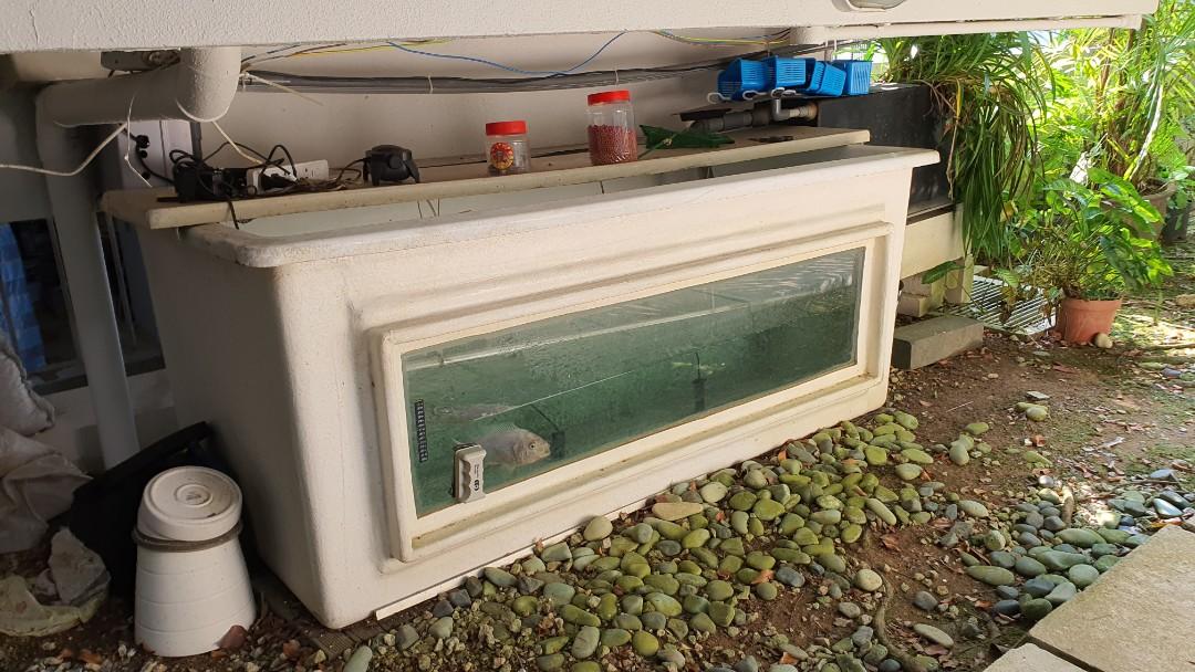 Fibre glass fish tank with vision panels, Sports Equipment, Fishing on ...