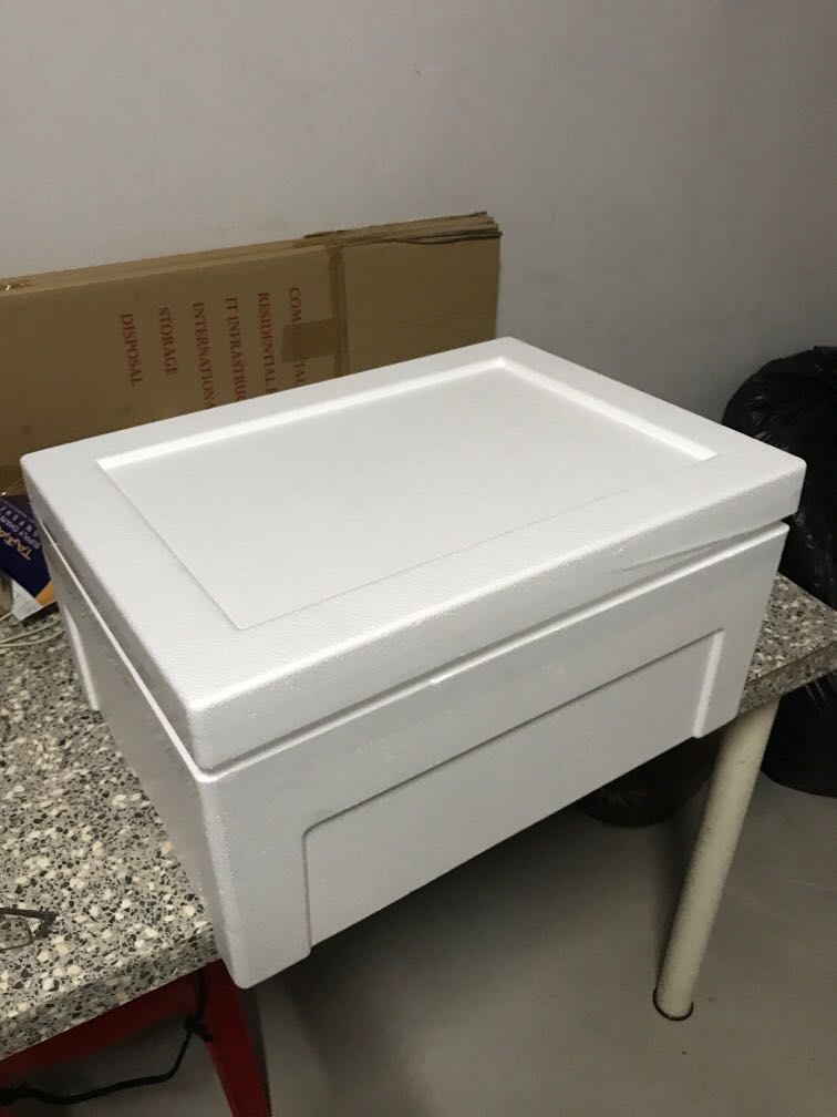 Free ice box (100%recyclable, no CFC), Everything Else on Carousell