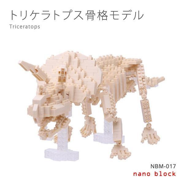 Nanoblock NBM-017 三角龍骨架模型, 興趣及遊戲, 玩具 & 遊戲類 - Carousell