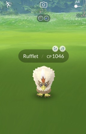 SHINY RUFFLET Pokemon Go, Video Gaming, Video Games, Others on Carousell