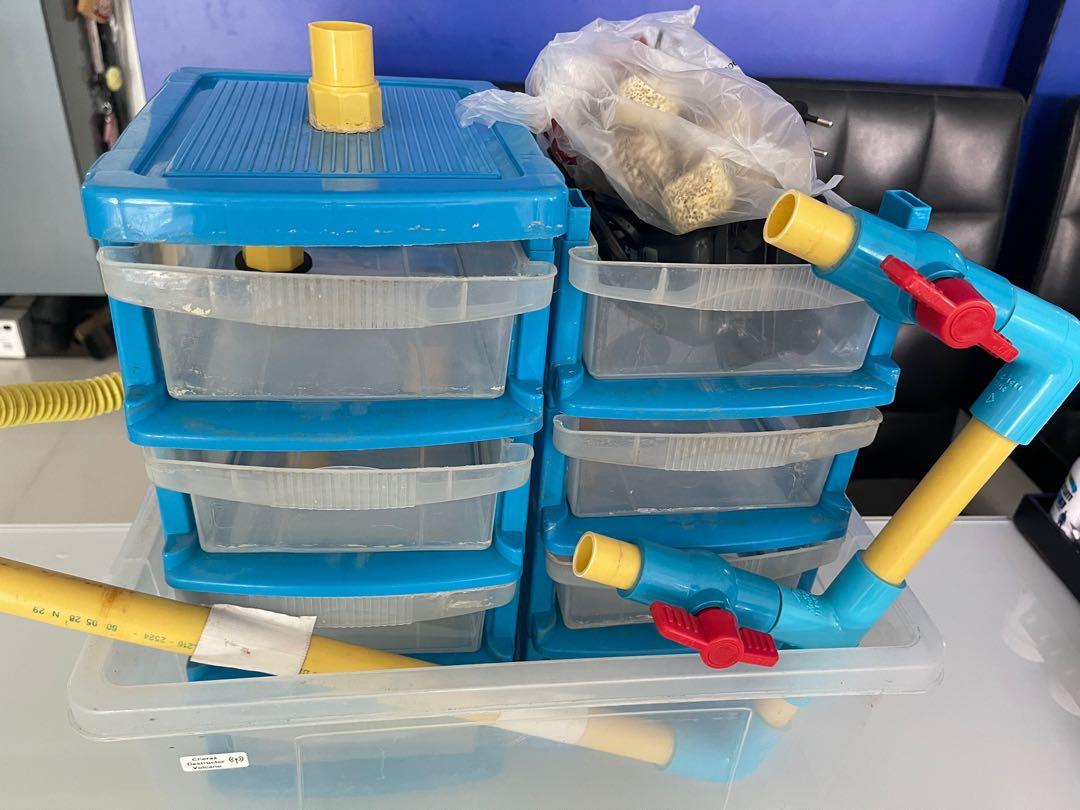 Crayfish customised condo setup for breeding, Pet Supplies, Homes ...