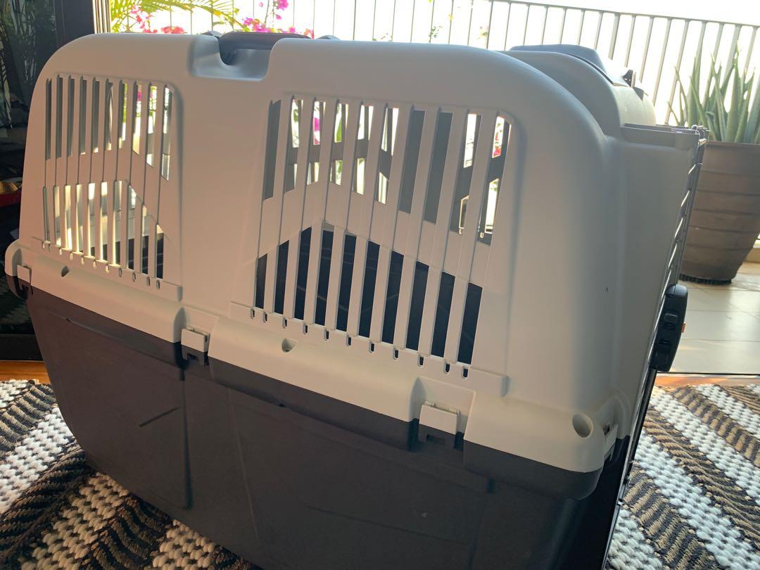 MPS Skudo 6 IATA Pet Crate, Pet Supplies, Homes & Other Pet Accessories ...