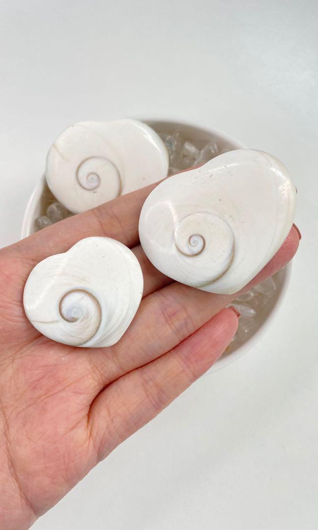 Shiva shell heart, Everything Else on Carousell