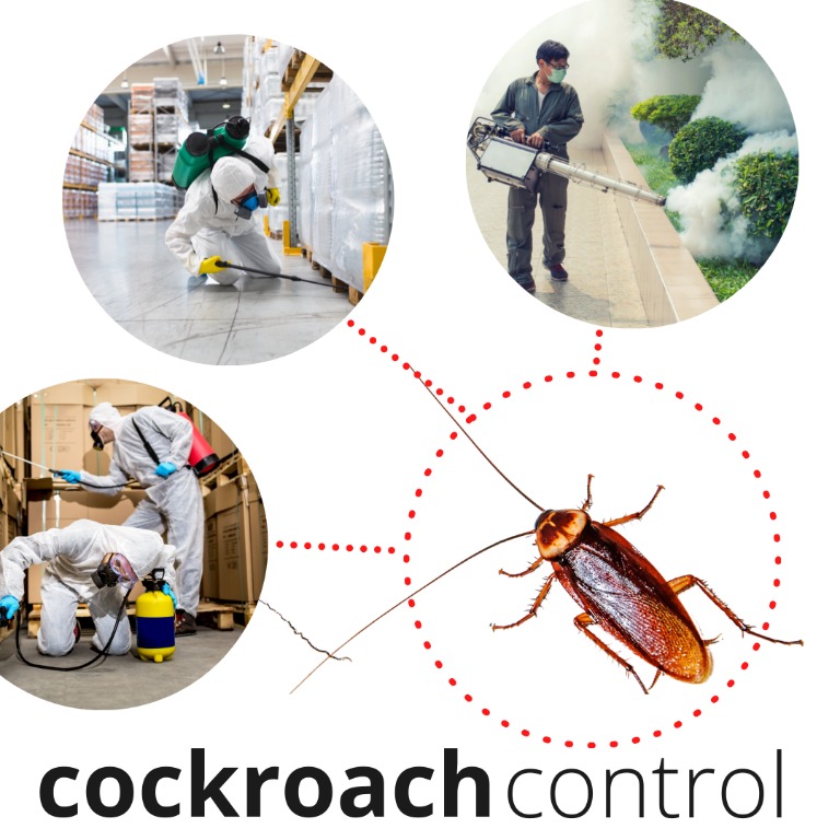 9. Any Pest Control Problems? Cockroach Termite Bedbug Rat Ant Mosquito ...
