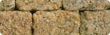 Hikari Bio-PurFreeze Dried Series (Bloodworms, Tubifex Worms, Daphnia ...