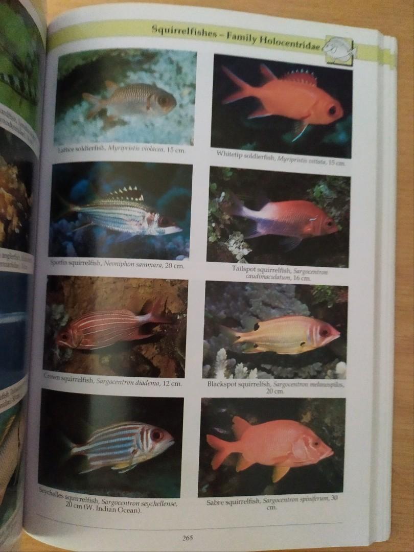 Indo-Pacific Coral Reef Field Guide, Hobbies & Toys, Books & Magazines ...