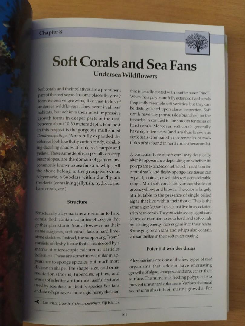 Indo-Pacific Coral Reef Field Guide, Hobbies & Toys, Books & Magazines ...