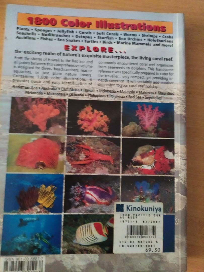 Indo-Pacific Coral Reef Field Guide, Hobbies & Toys, Books & Magazines ...