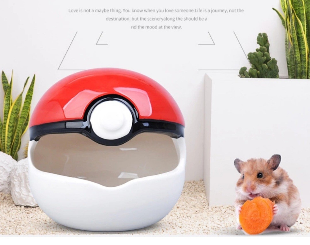 Pokeball hamster house, Pet Supplies, Homes & Other Pet Accessories on ...