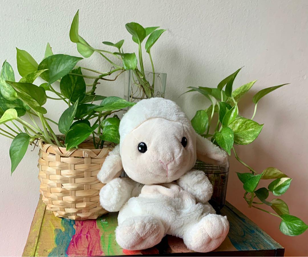 Soft Toy, Hobbies & Toys, Toys & Games on Carousell