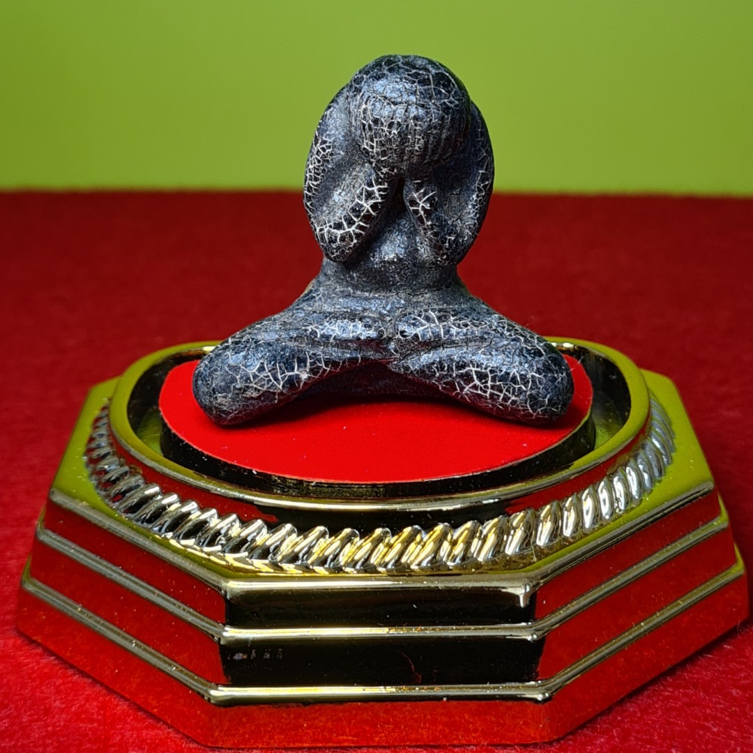 Tok Raja Pidta Snake Skin BE 2460, Hobbies & Toys, Memorabilia ...