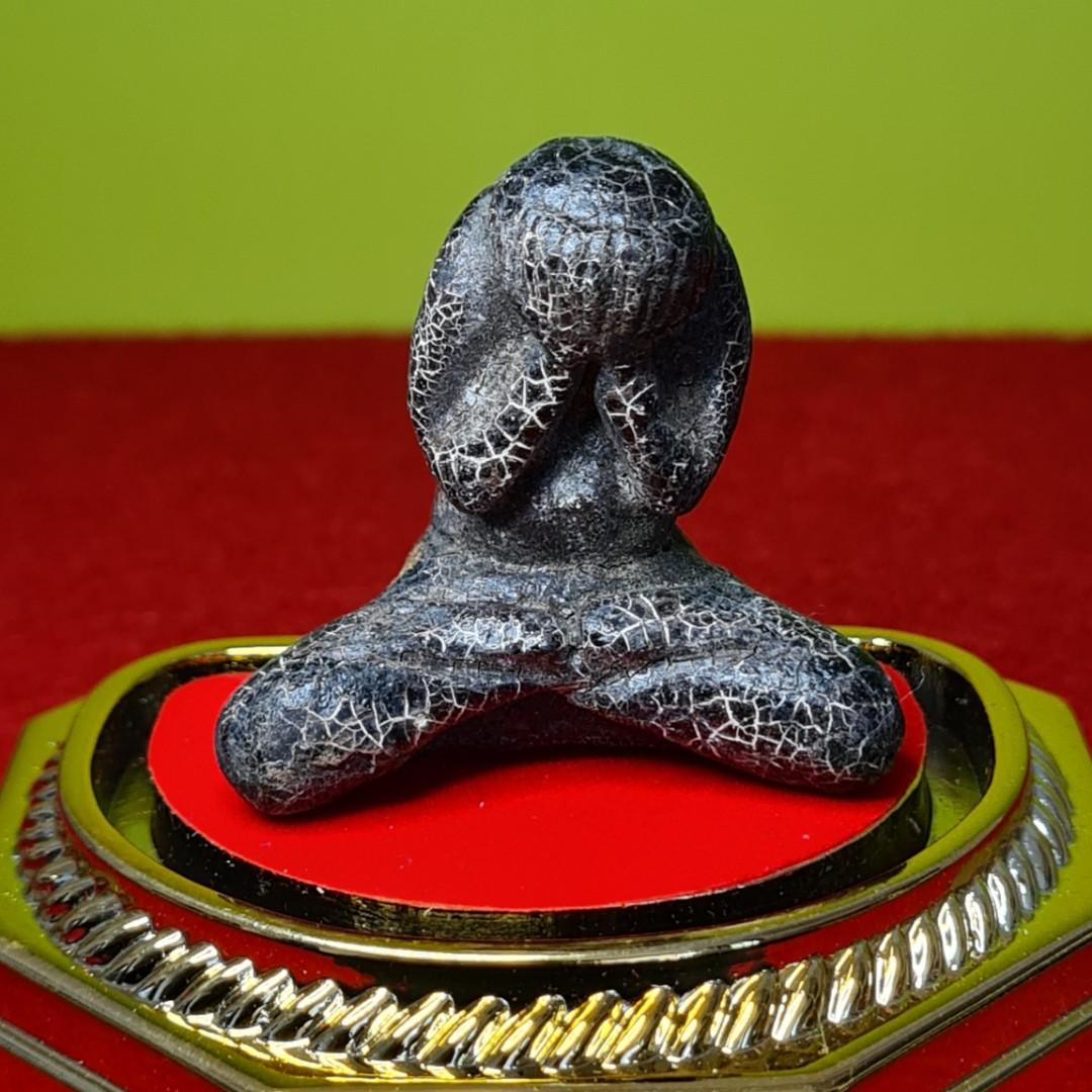 Tok Raja Pidta Snake Skin BE 2460, Hobbies & Toys, Memorabilia ...