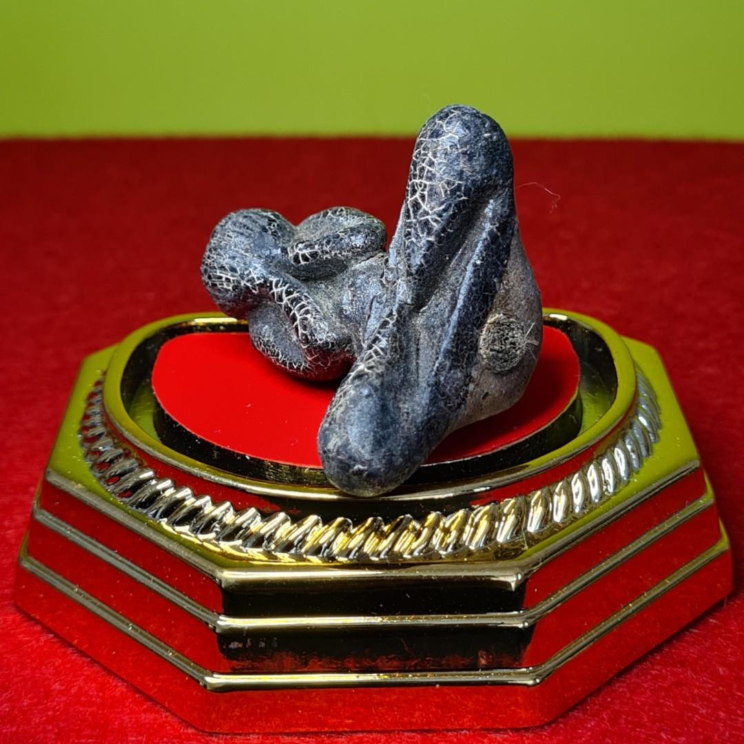 Tok Raja Pidta Snake Skin BE 2460, Hobbies & Toys, Memorabilia ...