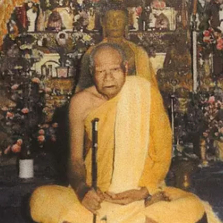 Tok Raja Pidta Snake Skin BE 2460, Hobbies & Toys, Memorabilia ...