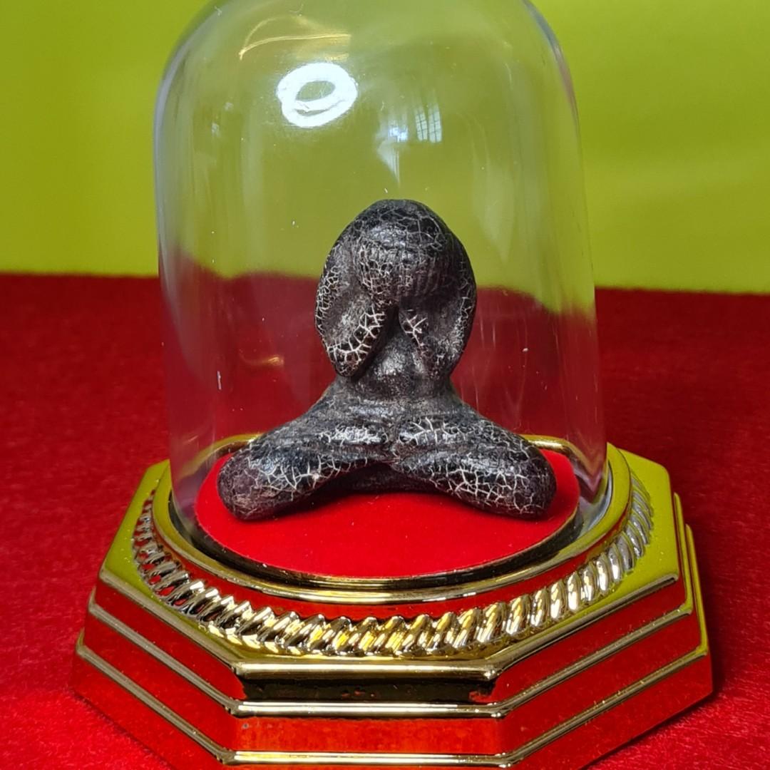 Tok Raja Pidta Snake Skin BE 2460, Hobbies & Toys, Memorabilia ...