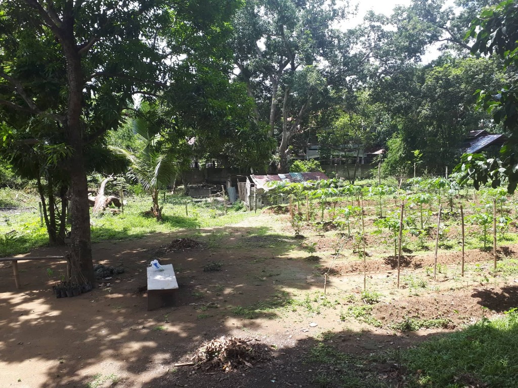 Property for Sale in Phlippines: Lot | Carousell Property (formerly OLX)