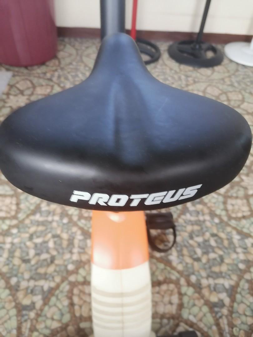Proteus exercise bike, Sports Equipment, Exercise & Fitness, Cardio ...