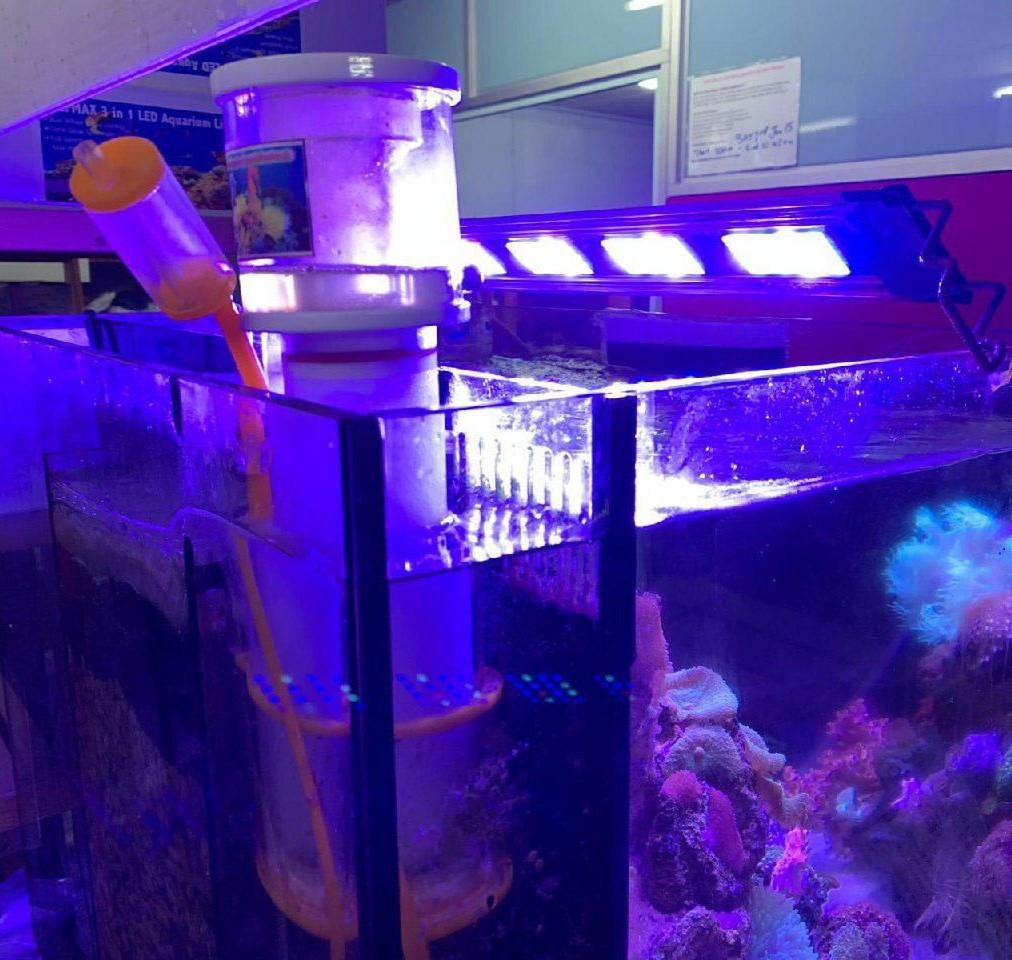 REEFMAX ECO-EASY 90cm (3ft) IOS Marine Tank with Cabinet for sale, Pet ...