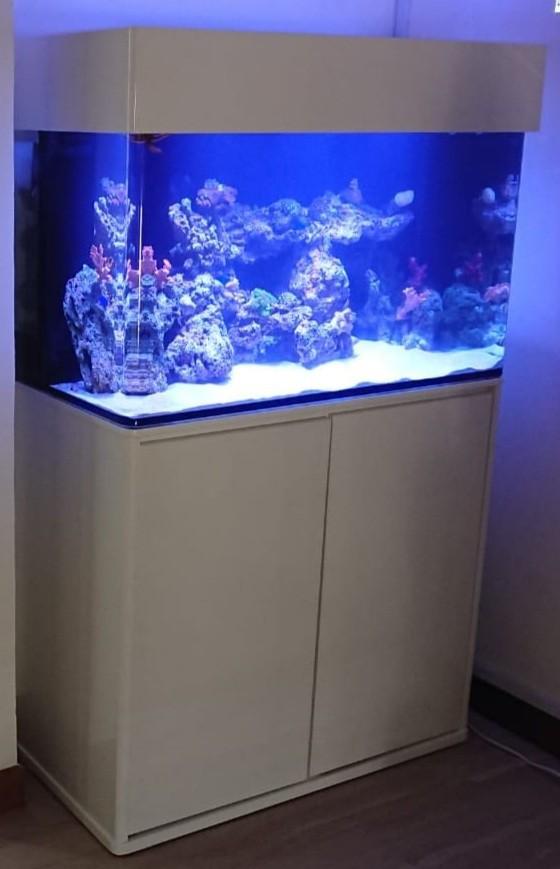 REEFMAX ECO-EASY 90cm (3ft) IOS Marine Tank with Cabinet for sale, Pet ...