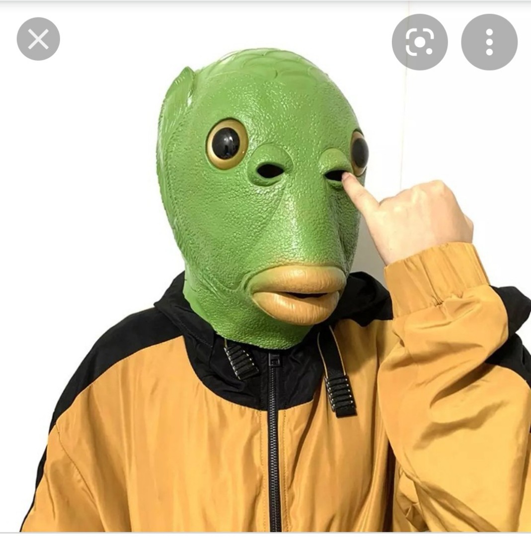 Tik Tok Green Fish Head, Hobbies & Toys, Music & Media, Music ...