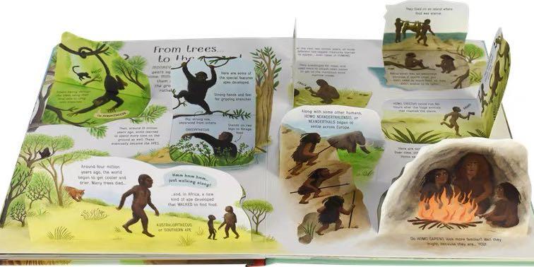 Usborne See inside Evolution, Hobbies & Toys, Books & Magazines, Children's Books on Carousell