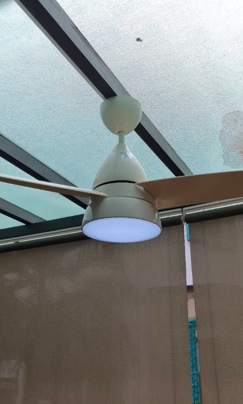 Fanco Mini Bee ceiling fan, Furniture & Home Living, Lighting & Fans ...