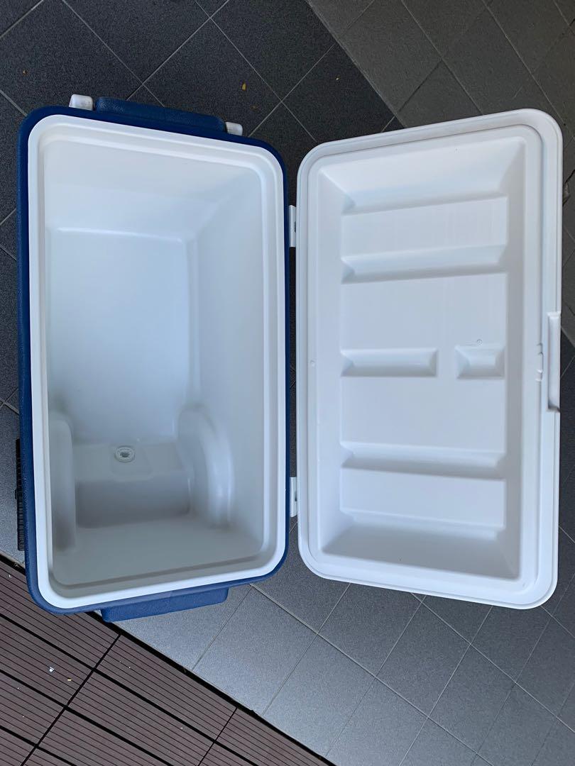 Used Coleman Wheeled Cooler Storage 40Q box, Everything Else on Carousell