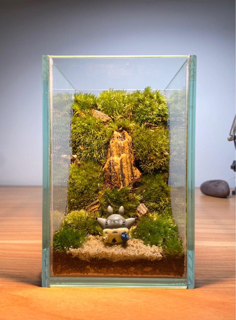 Custom Terrariums, Furniture & Home Living, Home Decor, Artificial ...