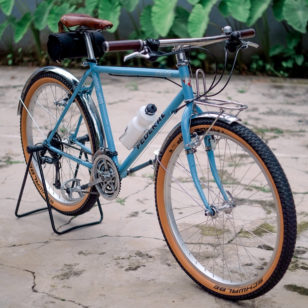 Federal City Cat Original Commuter Bike Vintage 26, Olah Raga, Sepeda ...