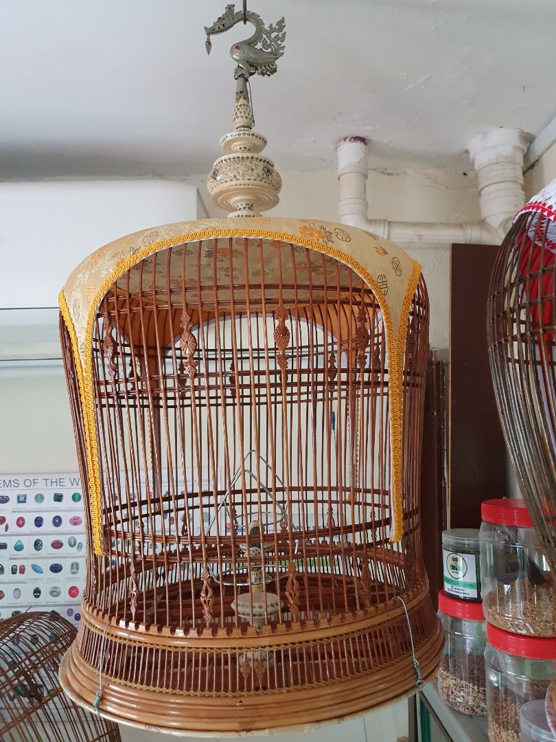 Merbok Bird Cage Superman, Pet Supplies, Homes & Other Pet Accessories ...