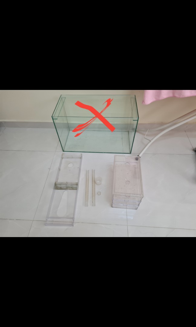 Trickle box, Pet Supplies, Homes & Other Pet Accessories on Carousell