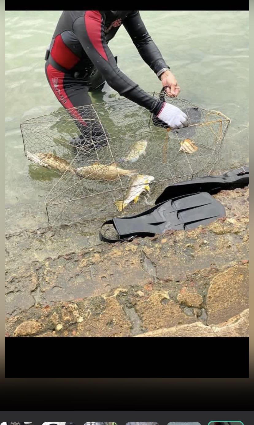 Bubu fish trap custom handmade., Sports Equipment, Fishing on Carousell