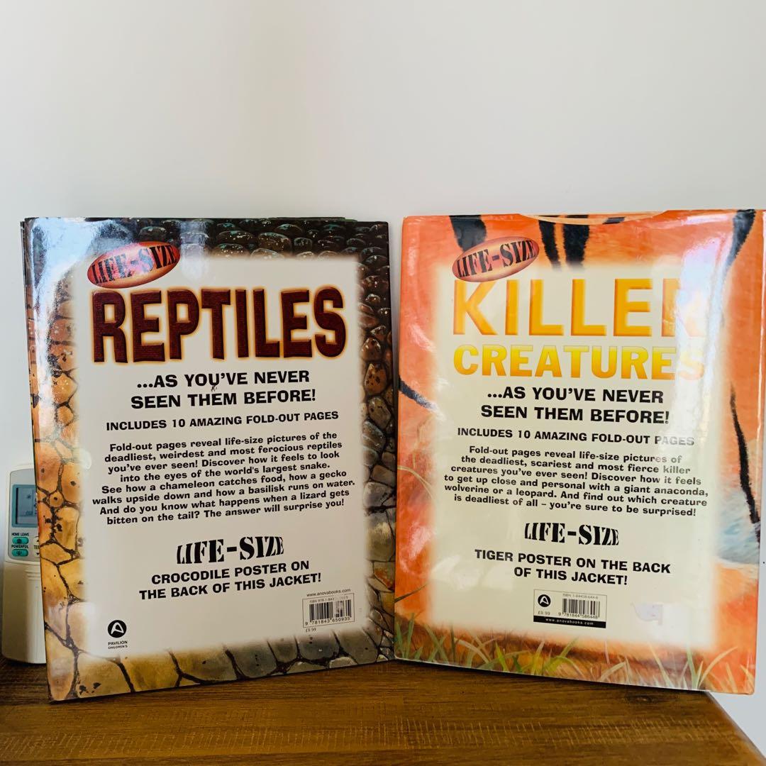 Life-Sized Animal illustrations and Educational books, Hobbies & Toys ...