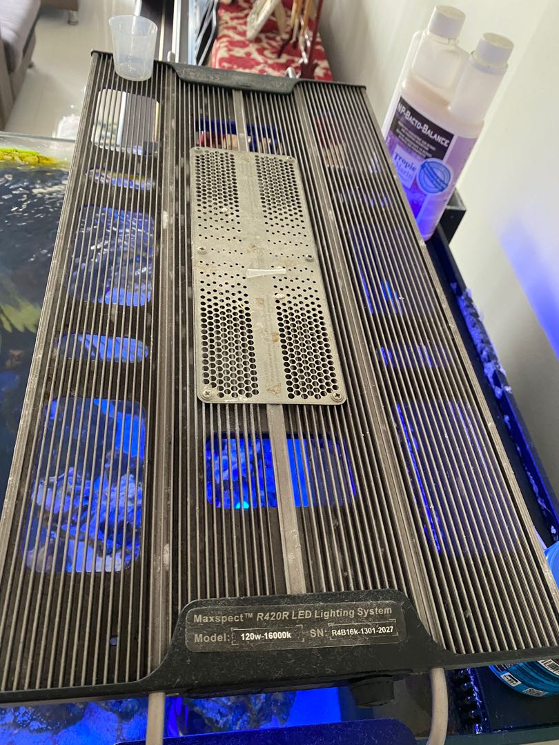 Maxspect R420R 120W LED Lighting System, Pet Supplies, Homes & Other ...