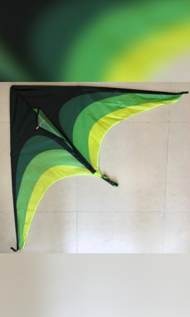 Kites for all ages (Robin Delta kite) FOC 260m string wheel, Sports ...