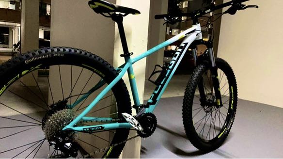 Limited Edition Polygon Xtrada 5, Sports Equipment, Bicycles & Parts, Bicycles on Carousell