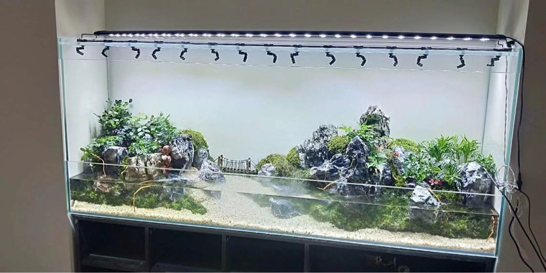 Rainforest box palladium tank, Pet Supplies, Homes & Other Pet ...