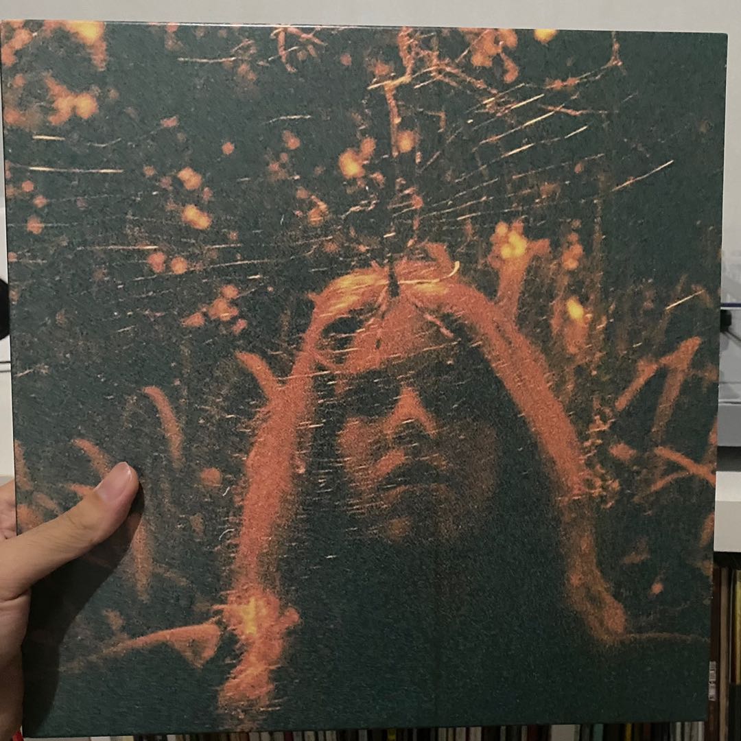 Turnover Peripheral Vision Vinyl Record Plaka LP, Hobbies & Toys, Music ...