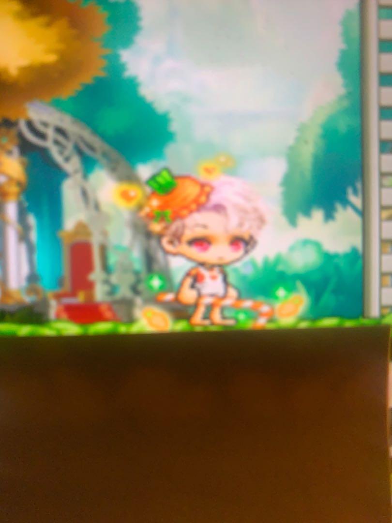 MapleSEA Aquila Cash EQ Set, Video Gaming, Gaming Accessories, In-Game ...