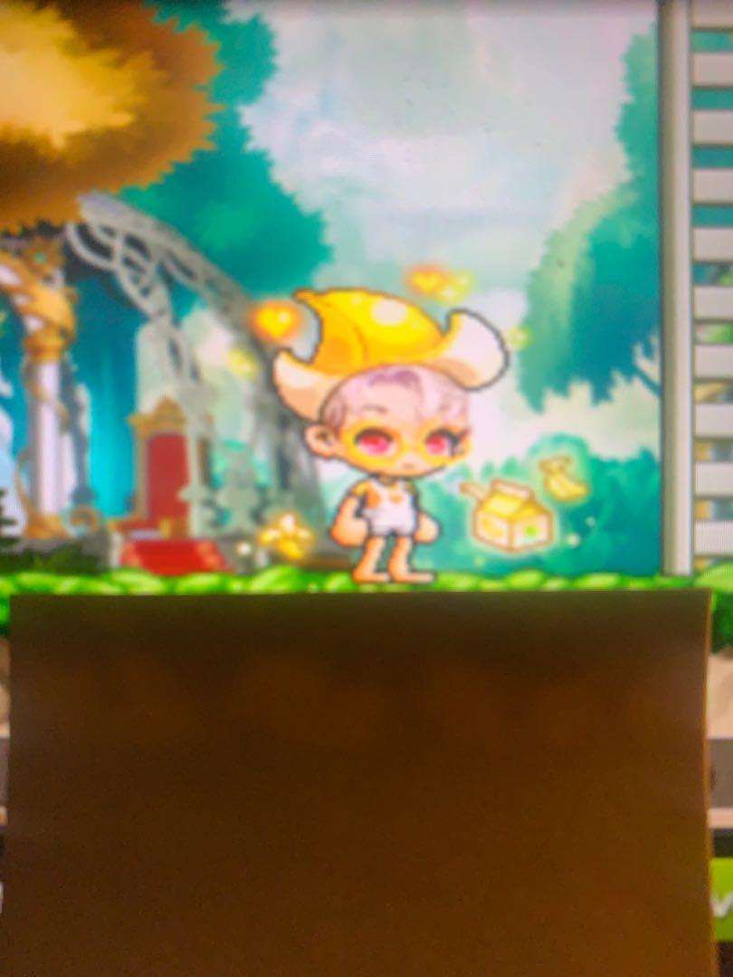 MapleSEA Aquila Cash EQ Set, Video Gaming, Gaming Accessories, In-Game ...